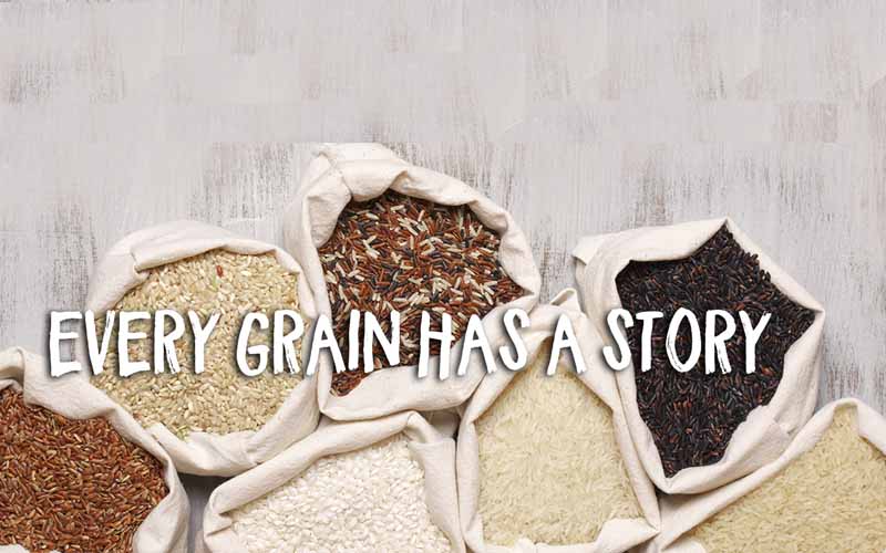 Every Grain Has it's Own Story - Taj Foods